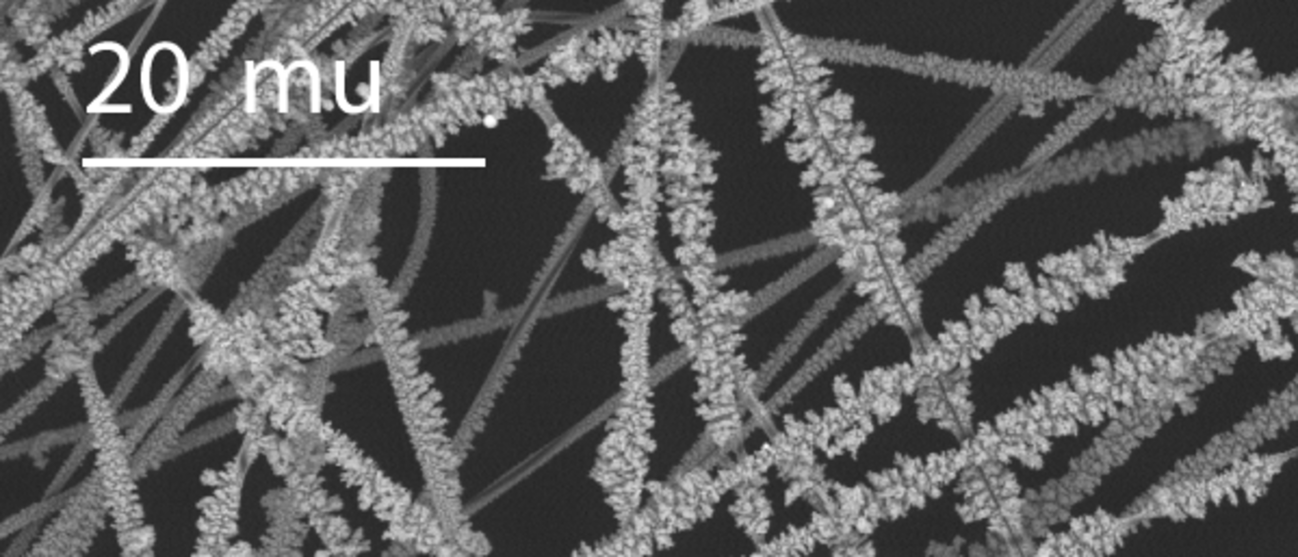 VSPARTICLE - Revolutionizing material development: VSPARTICLE